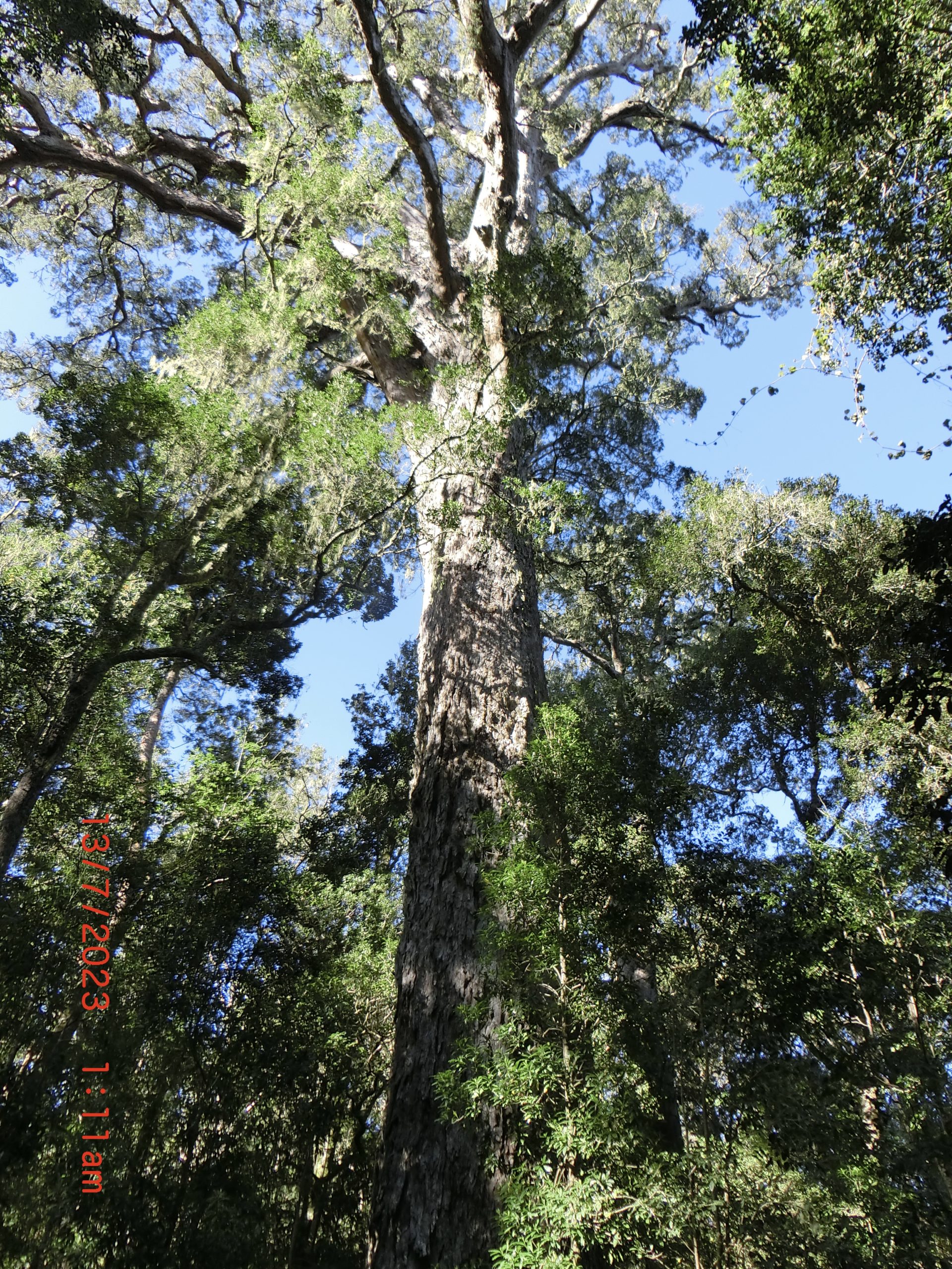 Day 202. Wednesday 12th July. The Ferry Hotel, & Campground. Gamtoos ...